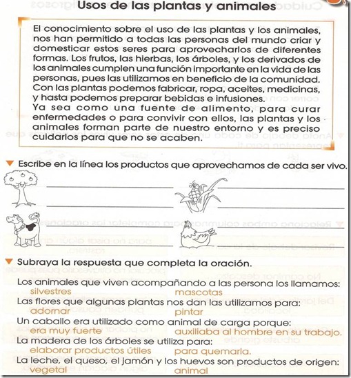 Ejercicios de Primaria: Las plantas y los animales – ejercicios y ...